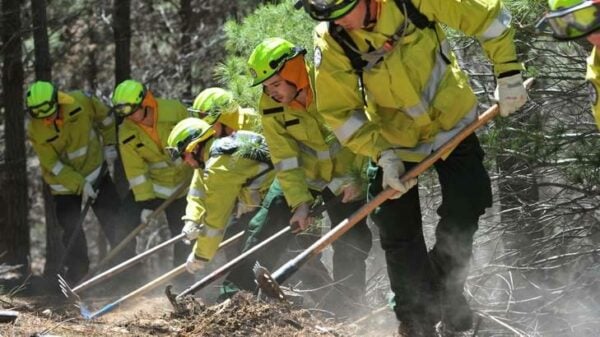 Fire Tools and Equipment | Rakes, Beaters, Knapsacks, Drip Torch